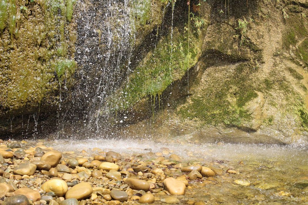 Hindon river | Contact -hindon river